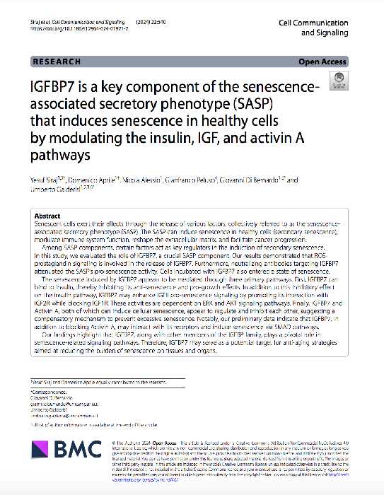 IGFBP7 is a key component of the senescence-associated secretory ...